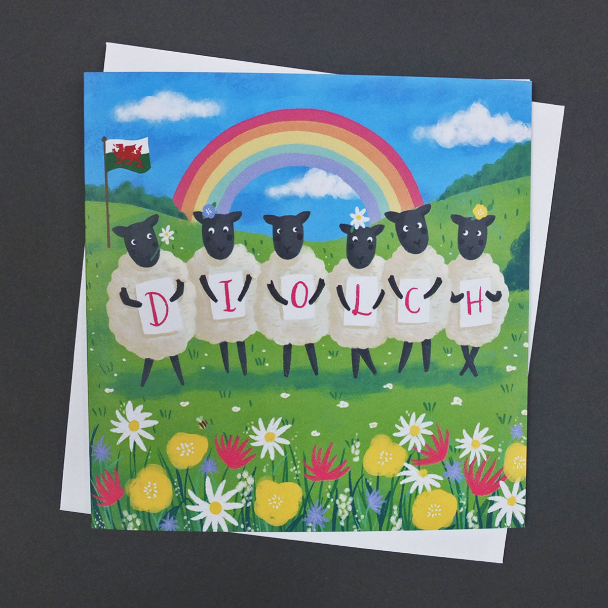 Diolch Sheep Greeting Card – Little Welsh Company