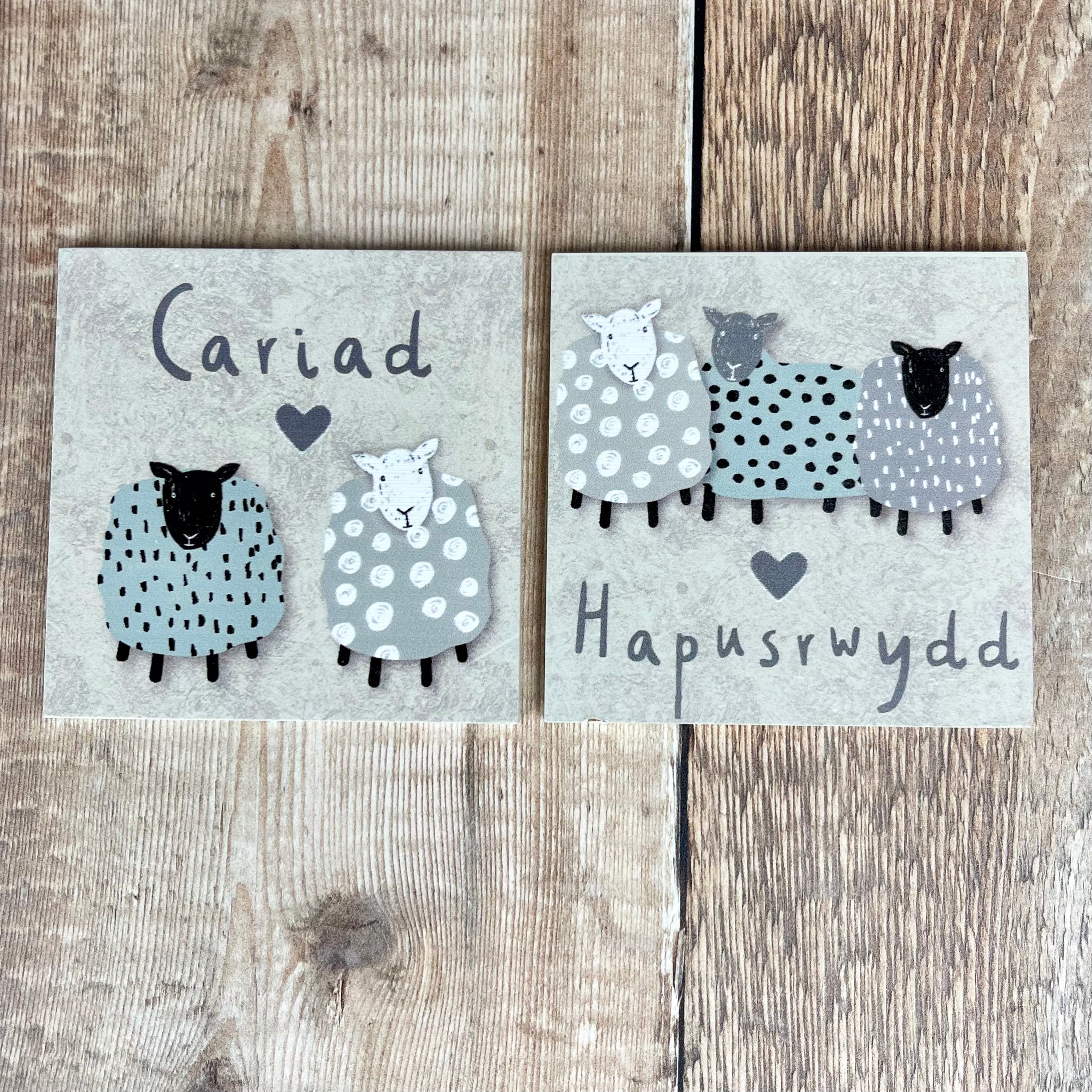 Two Sheep Coaster Set – Little Welsh Company